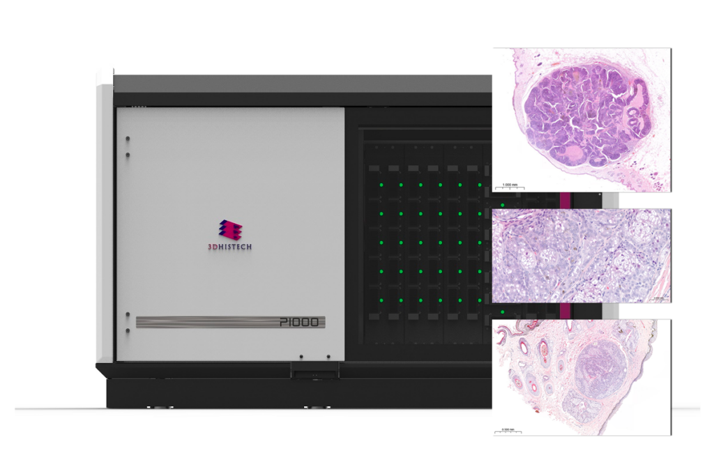 Sampling and packaging techniques for histology samples, and how to ...