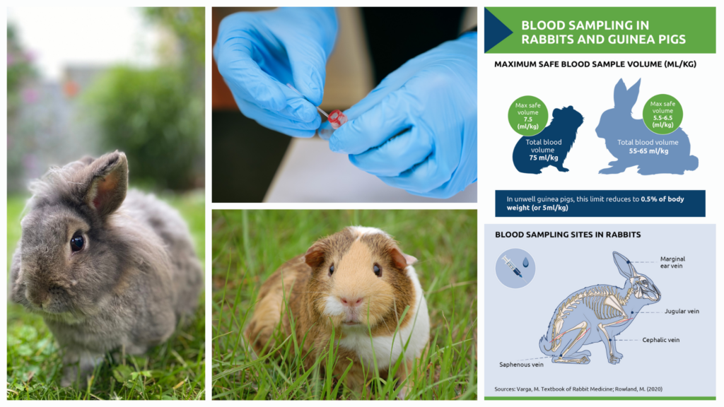 Diagnostic Dilemmas in Rabbits and Guinea Pigs - NationWide Laboratories