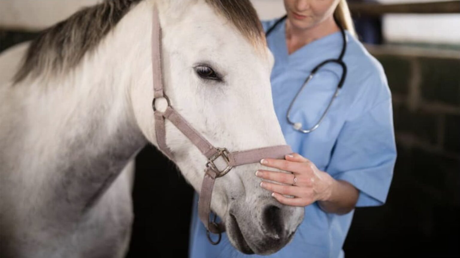 Nationwide Laboratories | Veterinary Diagnostics