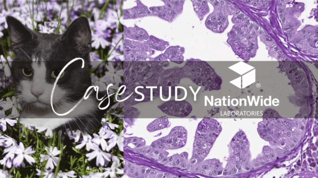 Nationwide Laboratories | Veterinary Diagnostics